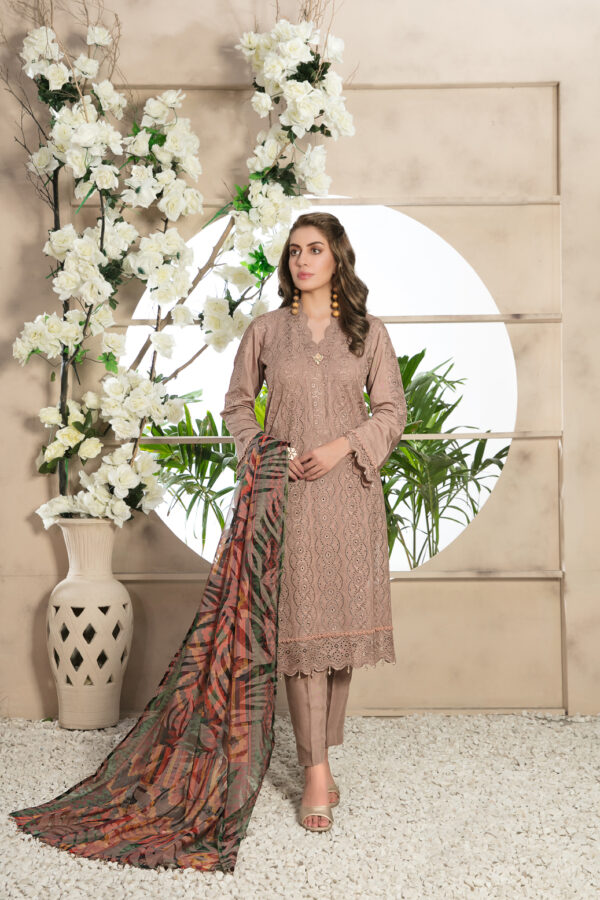 Noor Saba by Tawakkal 100% Original Ready To Ship – myshopusa.com